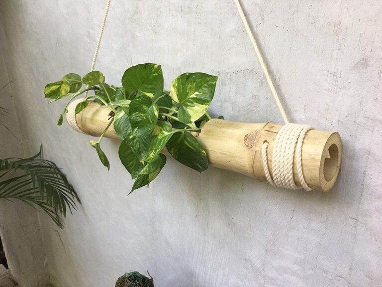 10 Unique Bamboo Pot Ideas for Home Decor • Shilpidea.Com
